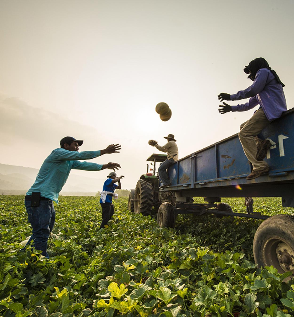 AGEXPORT - Asociación de Exportadores de Guatemala